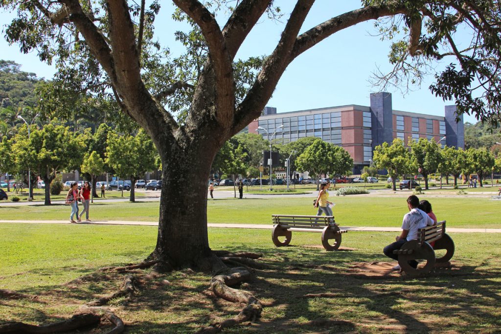 UFV – Universidade Federal de Viçosa