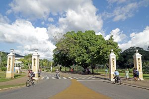 UFV – Universidade Federal de Viçosa