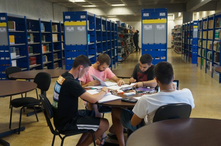 UFV – Universidade Federal de Viçosa