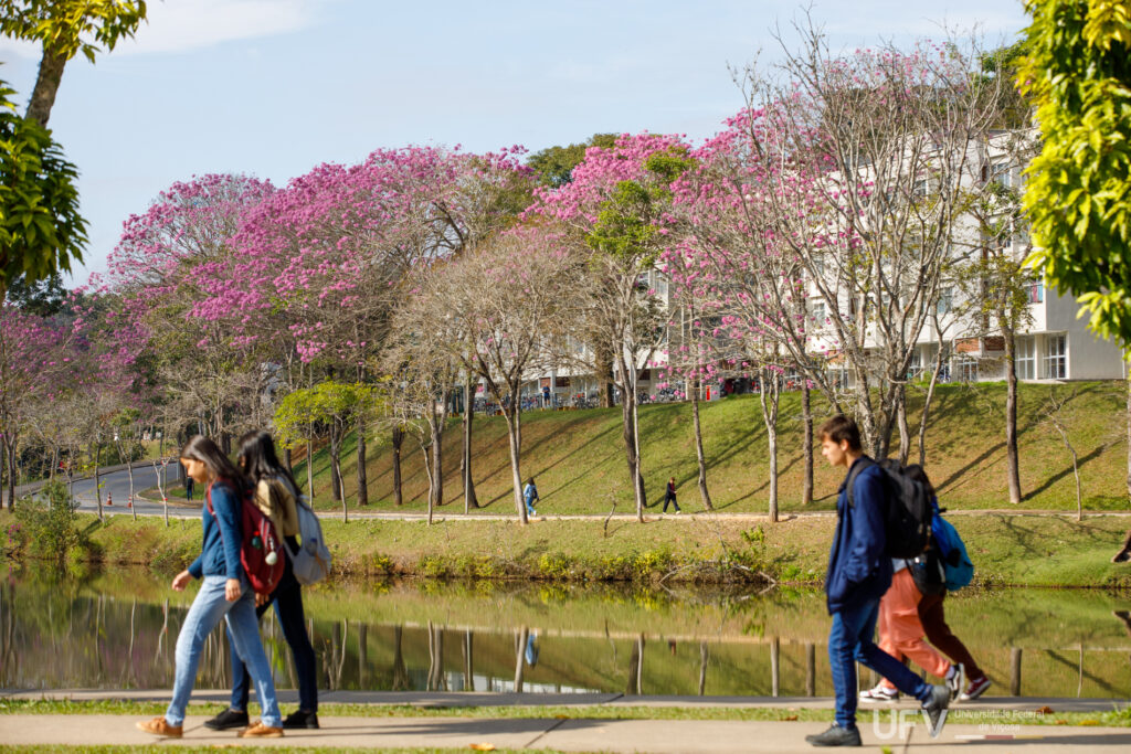 UFV – Universidade Federal de Viçosa