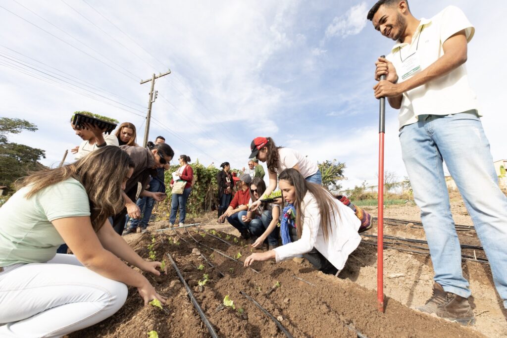 UFV – Universidade Federal de Viçosa